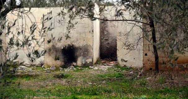 Vahşette yürek sızlatan ayrıntılar... - Haberleri - Gündem Bursa